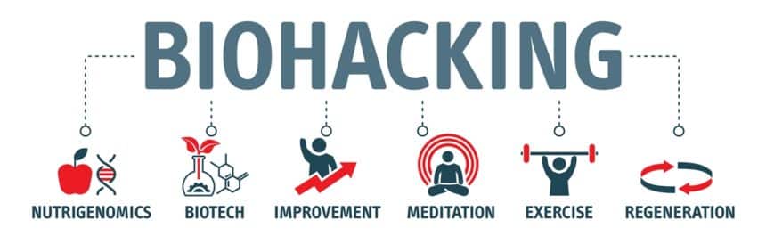 Biohack Business Success: Full Life Plan In 8 Steps