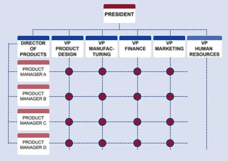 How Are Matrices Used In Business 8 Most Effective Uses