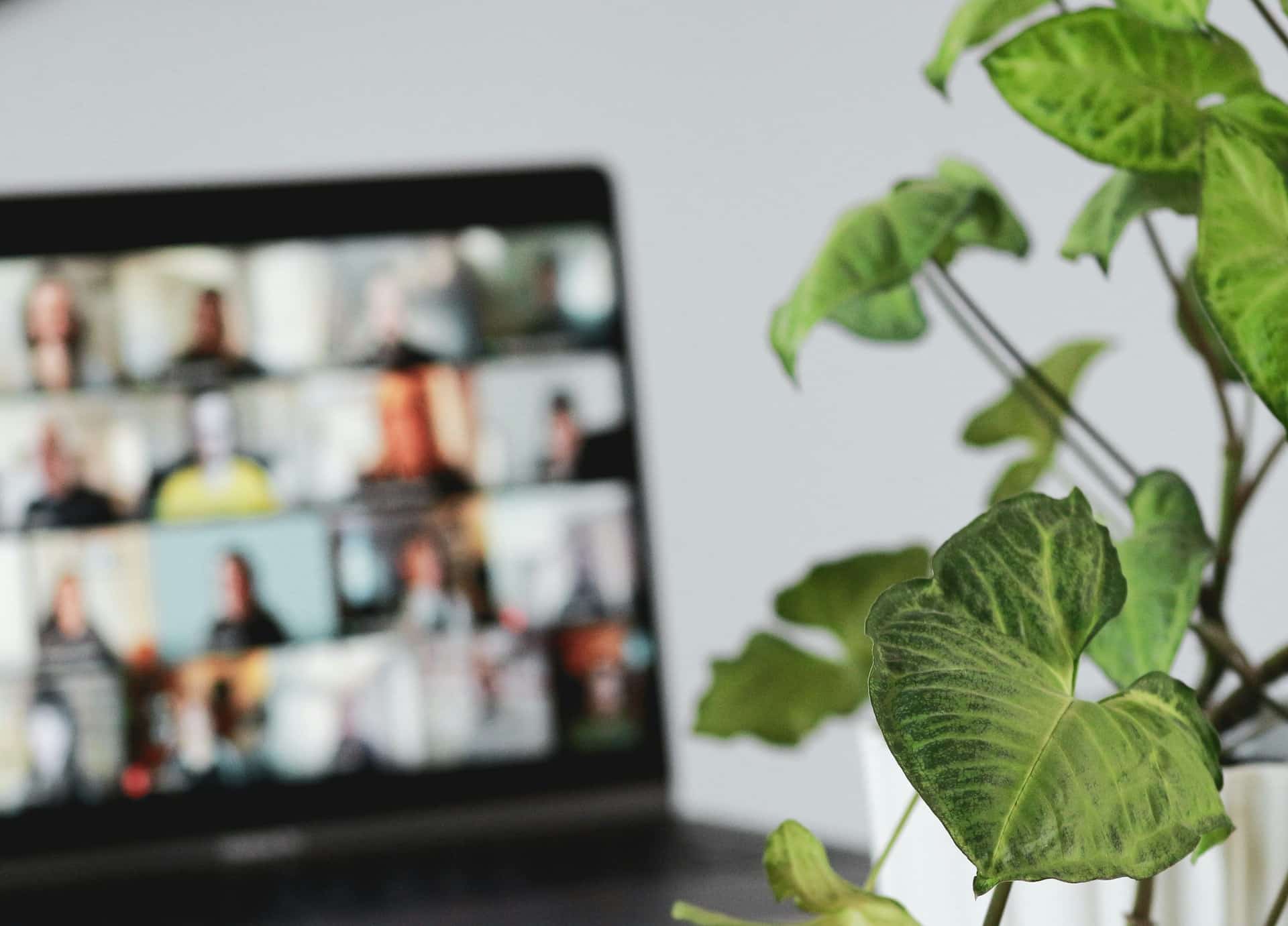 7 Essential Steps to Building a Membership Program - MicroStartups.org